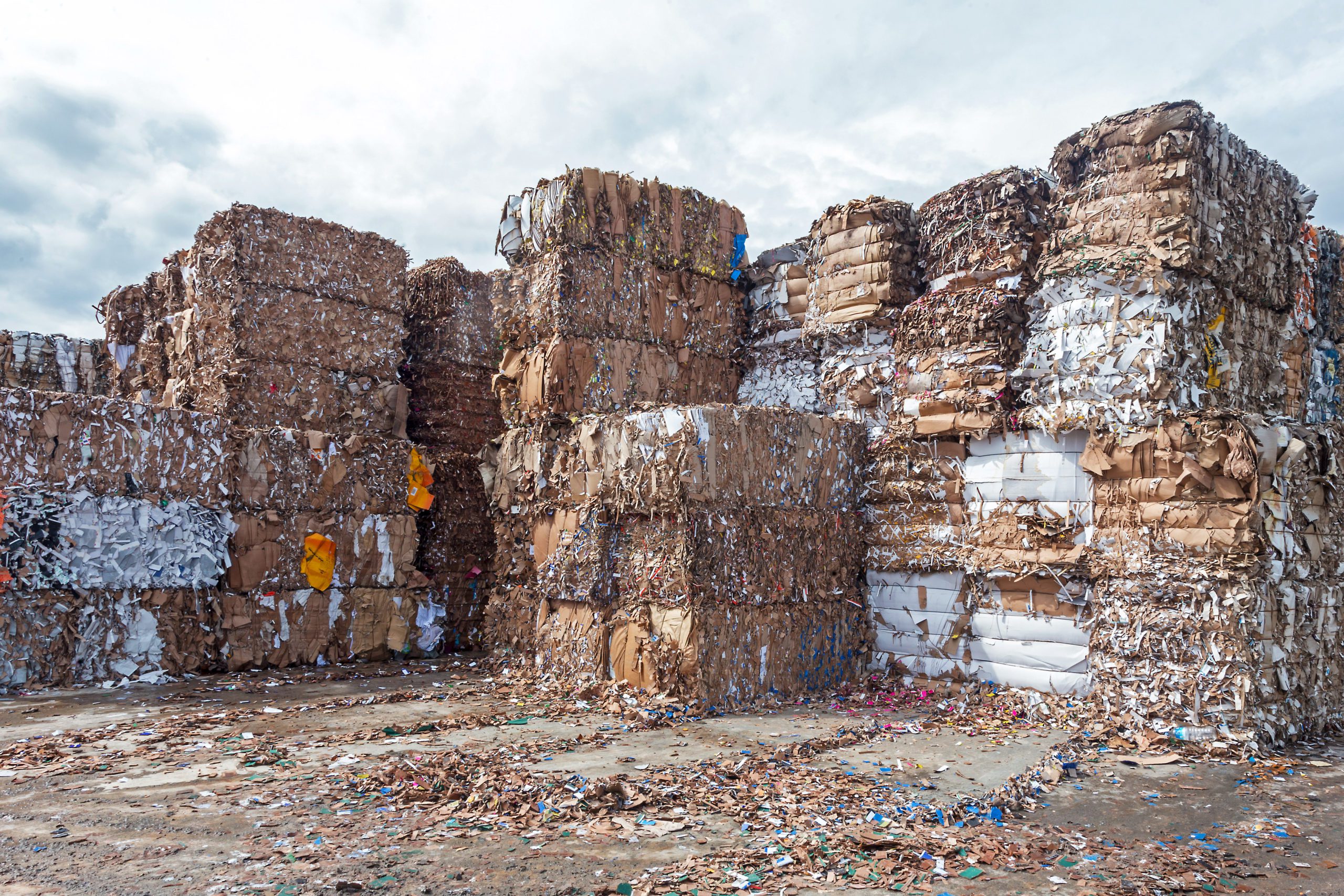 Cardboard Bale Recycling Near Me Collect Recycle