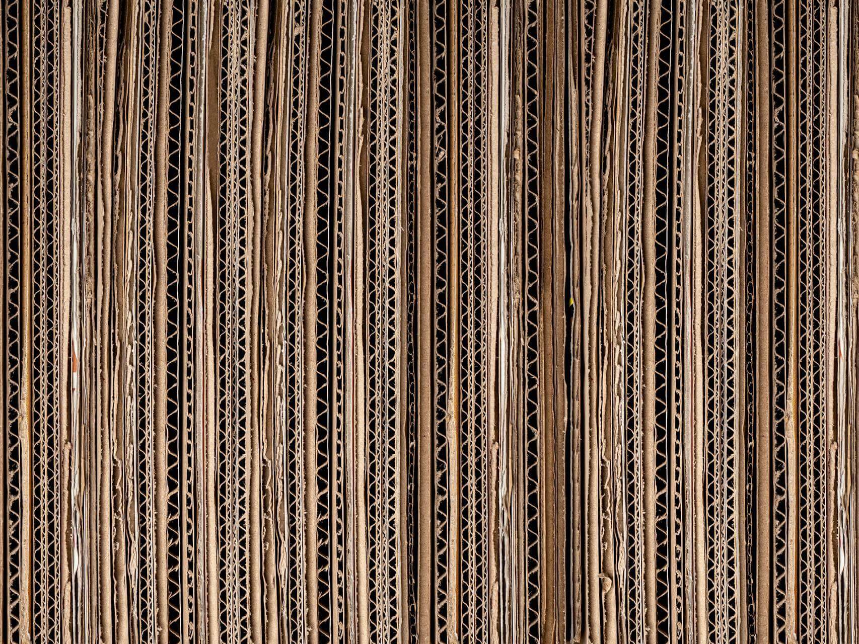 How Long Does Cardboard Take To Decompose?