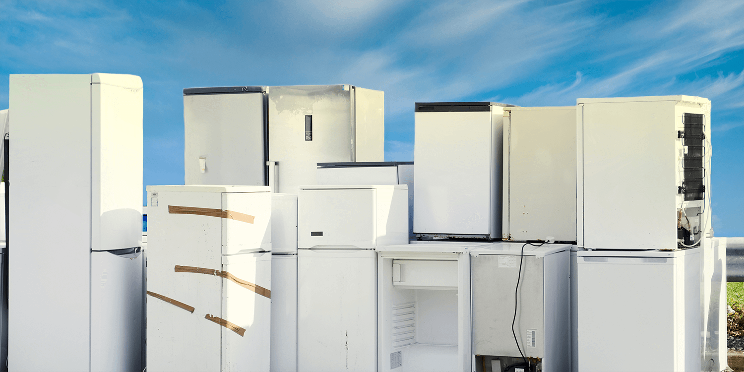 Fridge Freezer Collection: Exhibition Centre Case Study